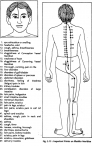 Acupressure Points for Kidney Disorders – Learn Self Healing Techniques ...