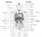 Reflexology – Learn Self Healing Techniques Online