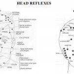 Reflexology – Learn Self Healing Techniques Online