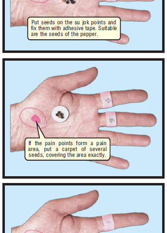 SEED MASSAGE (SEED-THERAPY) 18 – Learn Self Healing Techniques Online