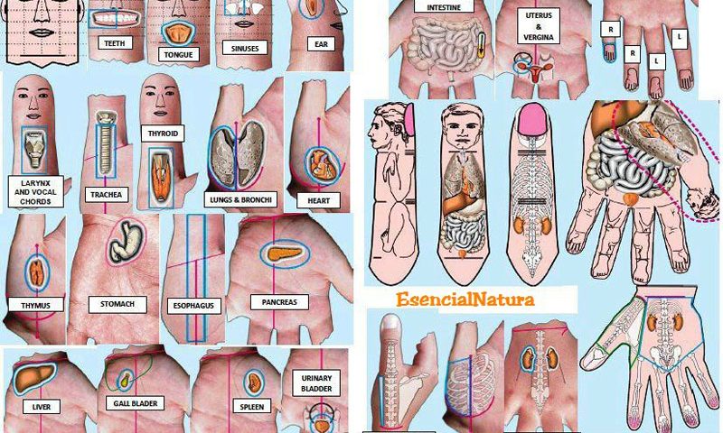 DISEASES THAT CAN BE TREATED WITH SU JOK 11 – Learn Self Healing ...