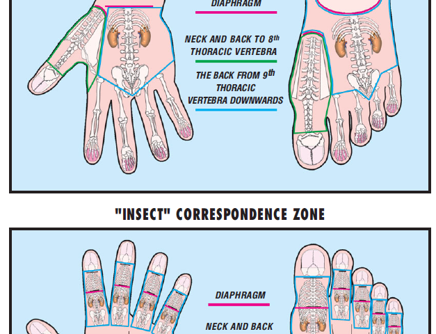 Sujok Prescription for Neck and Back 42 – Learn Self Healing Techniques ...